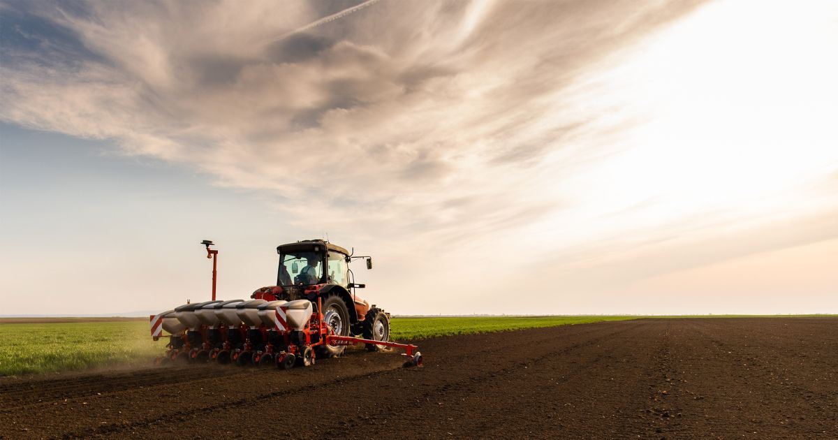 Feed industry represented in the National Agriculture Strategy ...