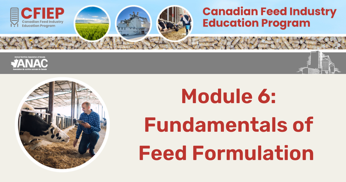 Learn about feed formulation with CFIEP - Animal Nutrition Association ...