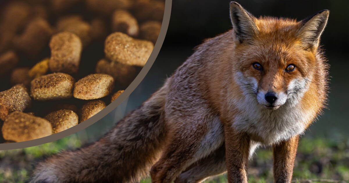 Do you import mink or fox feeds? - Animal Nutrition Association of Canada